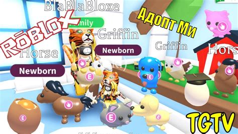 ПИТОМЦЫ В АДОПТ МИ ОБНОВЛЕНИЕ 15 июня 2019 ОТКРЫТИЕ 3 ЗАМКА НА КАРТЕ Youtube