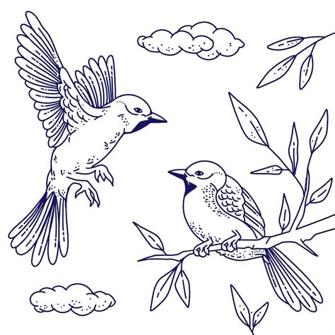 Nest Drawing Outline Bird Nest Drawing Images Browse 93636 Stock