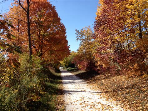 Fall Bike Path Free Stock Photo Public Domain Pictures