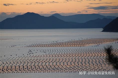 海南跨境电商有无限可能？？？？ 知乎