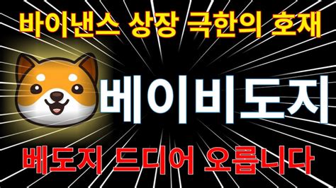 베이비도지이제는 웃으셔도 됩니다 드디어 바이낸스 상장 Youtube
