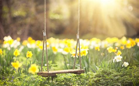 Tree Swing Themed Wallpapers Maxipx
