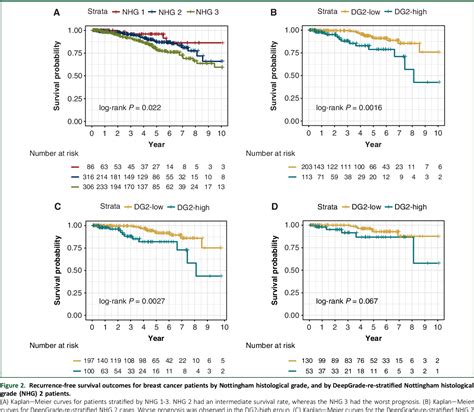 Figure From Improved Breast Cancer Histological Grading Using Deep Learning Semantic Scholar