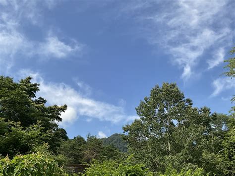 ご家族で楽しまれた奥様のお誕生日のお祝い終演間近のアリスの森の蛍の舞踏会お急ぎくださいね バラの二番花が咲く今日の不思議の花園です