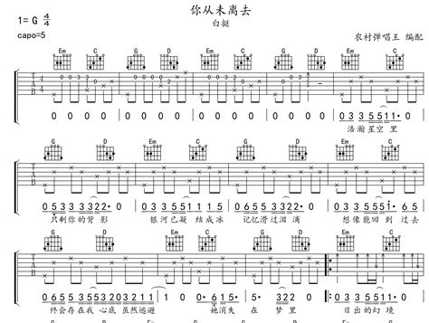 你从未离去吉他谱 白挺 G调吉他弹唱谱 原版 琴谱网