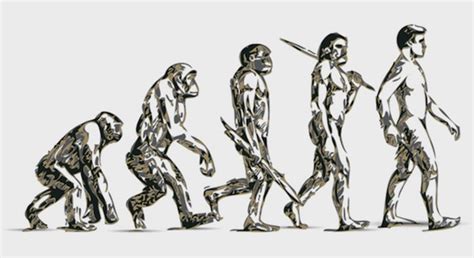 Drawing Human Evolution Poster At Stephen Jamerson Blog