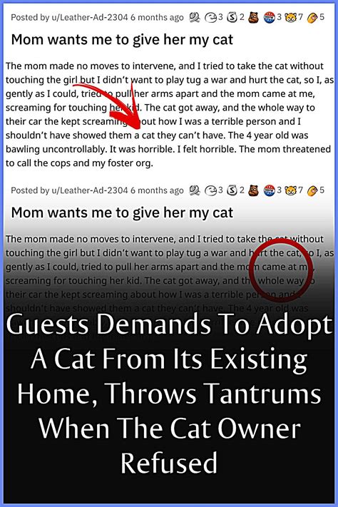 Cat Owners Share The Wholesome Moments Of Cats Loving Their Humans