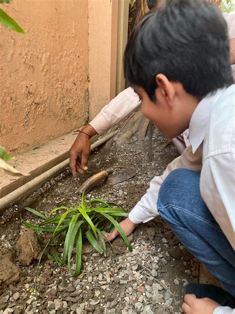 🌱📚 Exploring Natures Classroom Soar Model Town Campus