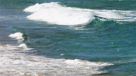 Ancient Mass Graves Could Be Filled With Tsunami Victims