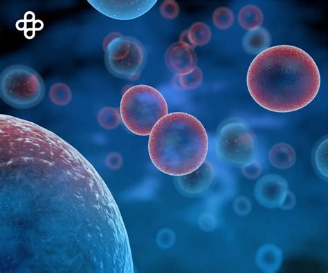 Stem Cells And Bipolar Disorder A Pioneering Glimpse Into Regenerative