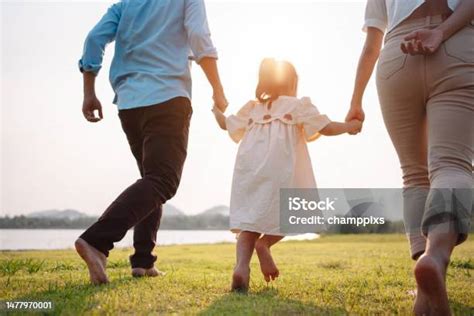 공원 일몰 빛에 행복 한 가족입니다 주말에 강이 있는 초원에서 함께 달리는 가족 부모는 아이의 손을 잡고 있습니다건강 생명 보험 계획 개념 아버지에 대한 스톡 사진 및 기타