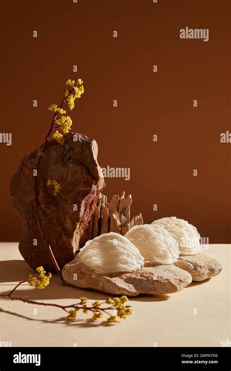 Edible Bird Nests Placed On Stone Decorated With Yellow Flower