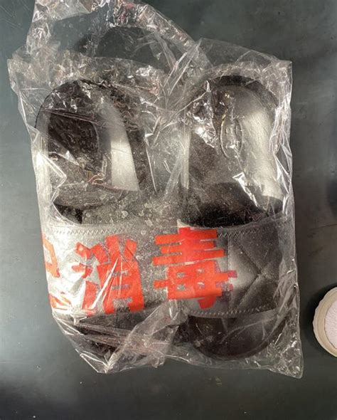 2023回国散记34软卧条件不错大户朋友真好 绿岛阳光发表于 世界风情 论坛 文学城