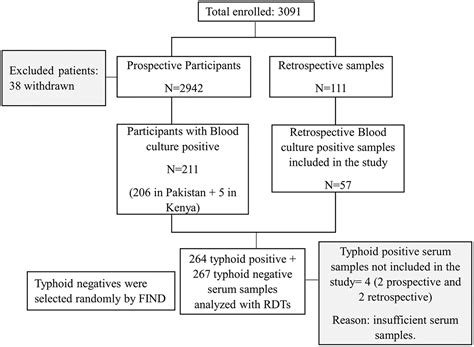 Salmonella Typhi Culture