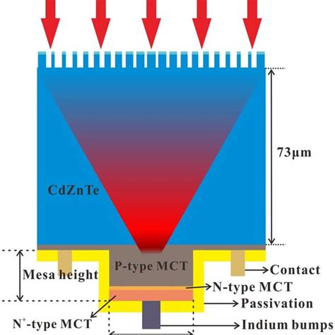 A Absorptance By The Active Region Of The Hgcdte Detector With Or Download Scientific Diagram