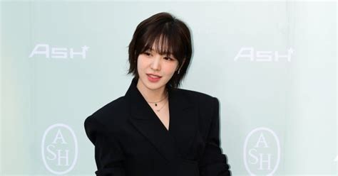 레드벨벳 웬디·슬기 화장품 브랜드 모델로 잘 어울릴 것 같은 여자 가수 1·2위 Ten차트