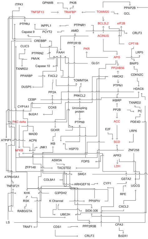 network reconstructed with constraints based algorithm ga pls and ica