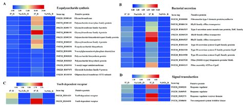 Transcriptomic Analysis Of Genes Associated With Biofilm Formation Of
