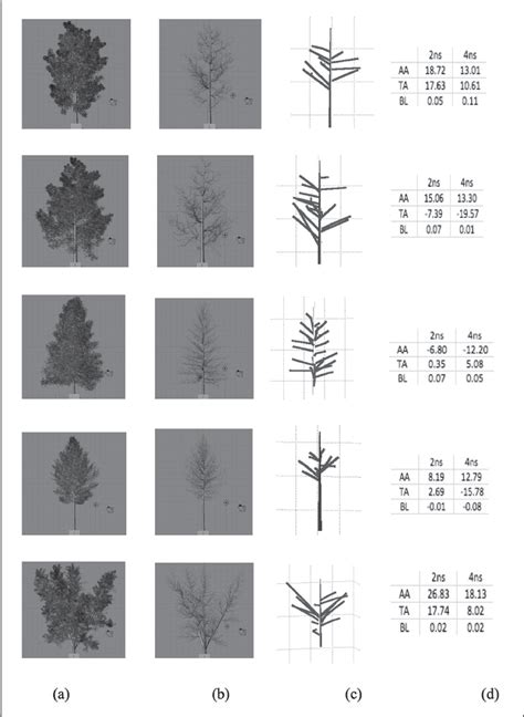 Figure 19 From Tree Reconstruction From Simulated Small Footprint Waveform Lidar Semantic Scholar