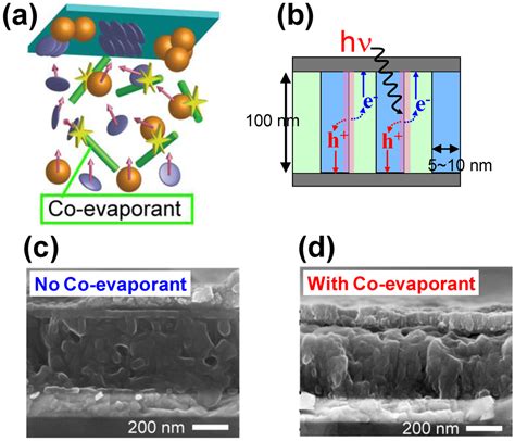 Electronics Special Issue Organic Semiconductors