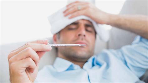 Babesia Parasite Babesia Infection Symptoms Diagnosis Babesia