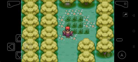 Im Trying To Catch Mew But Mewtwo Doesnt Want To Come Out Of The Ball