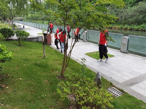 杭州上城区四季青街道志愿服务喜迎亚运 美丽河道共治共享中国国情中国网