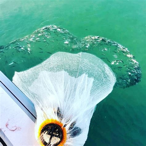 How To Throw A 12 Foot Cast Net Without Using Your Mouth Luke Salt