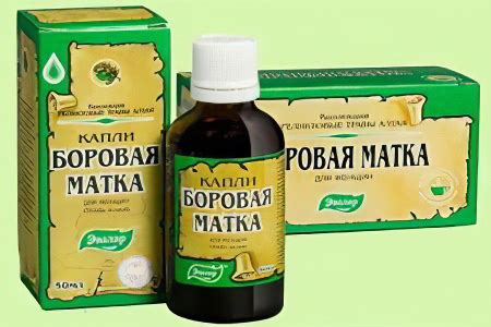 Боровая матка при эндометриозе – помогает ли? Отзывы и результаты