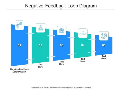 negative feedback loop diagram negative feedback loop with delay