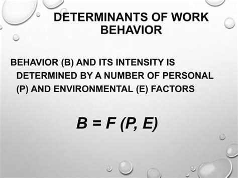 Conceptual Framework For Behavior And Performance Pptx