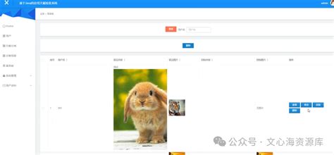 基于java的在线文献检索系统 根据doi查询文献信息 java api csdn博客