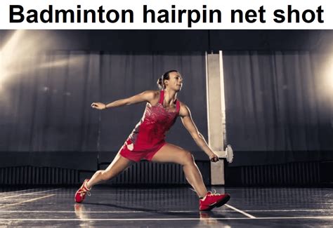 Badminton Net Shot