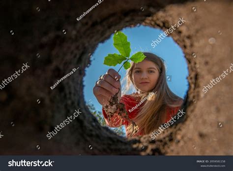 Girl Holding Tree Seedling Planting Forest Stock Photo 2059581158 Shutterstock