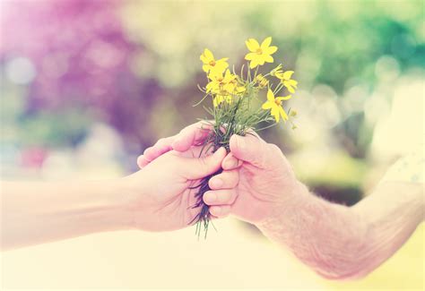 The Connection Between Acetylcholine Levels And Alzheimers Disease Progression