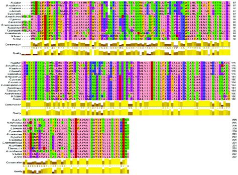 multiple sequence alignment for protein sequences of atp synthase f 0