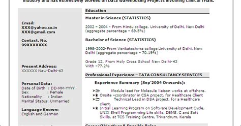 Sas Programmer Developer Free Resume Template