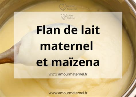 Flan Au Lait Maternel 4 Recettes Faciles Et Rapides