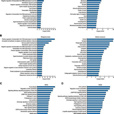 Significant Gene Functions And Signaling Pathways Enriched For