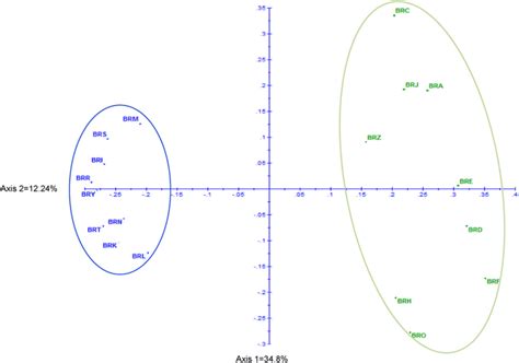 Principal Component Analysis Pca Based On Ssr Markers Of Algerian B