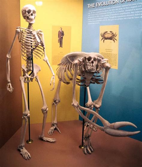 Scottie Barnes Skelton Leaked Rnbacirclejerk