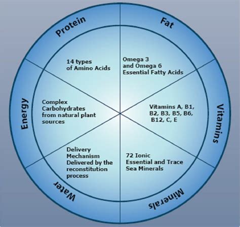 The 6 Essential Nutrients See Link 6