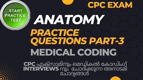 Anatomy Practice Questions Part 3 Medical Coding Youtube