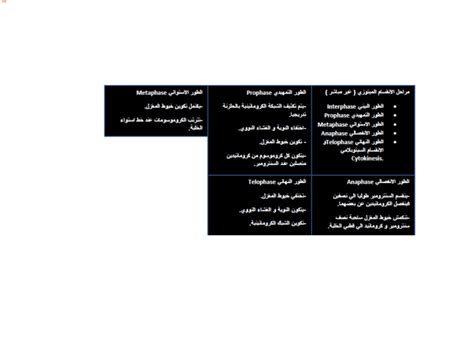 Summarize Documents Translate Script Editing By Youssefibr Fiverr