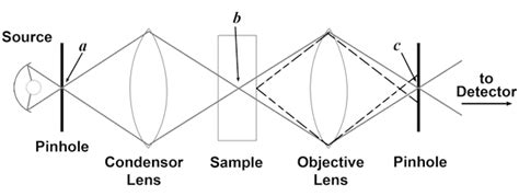 1 Illustration Of The Beam Path In A Confocal Laser Scanning Download Scientific Diagram