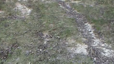 Folkestone To Etchinghill Part 17 Youtube