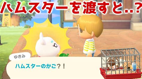 【あつ森】ハムスター系の住民にハムスターをプレゼントすると意外な反応がww【あつまれどうぶつの森】 Youtube