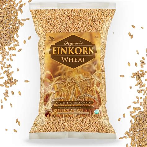 Growing Einkorn Wheat A Quick Guide Shuncy