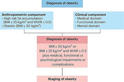 Researchers Propose New Framework For Diagnosing Obesity Based On Body Fat Distribution Not Bmi