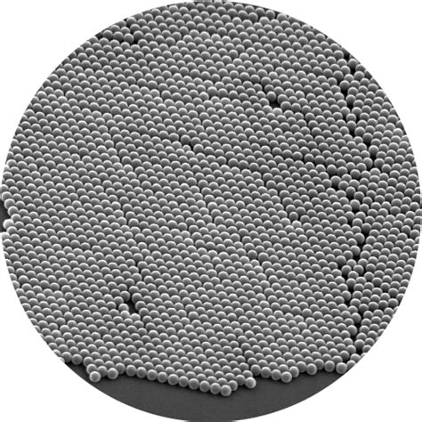 Polystyrene Microspheres Archives Bangs Laboratories Inc